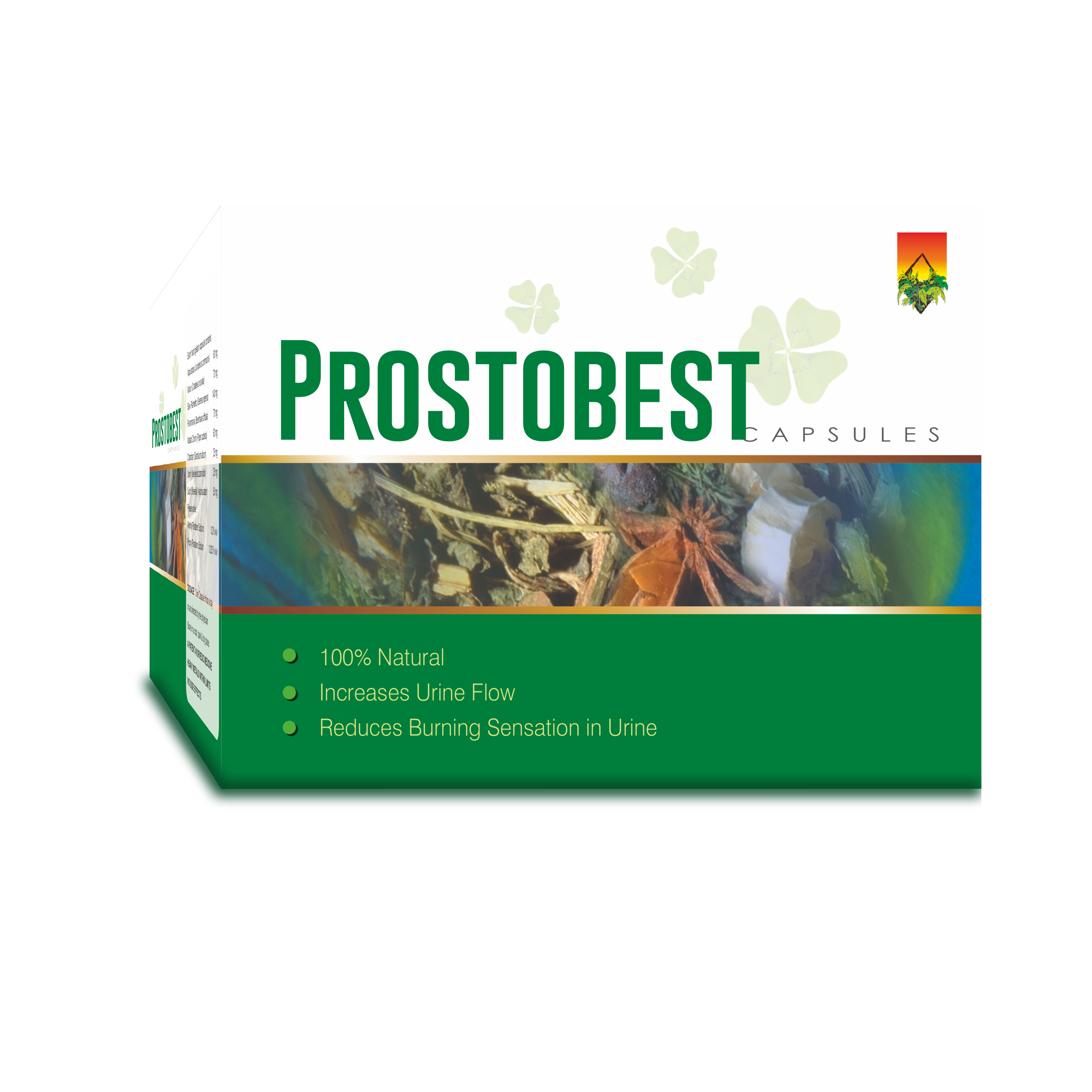 Prostobest Capsule | Ayurvedic Medicine for Enlarged Prostate