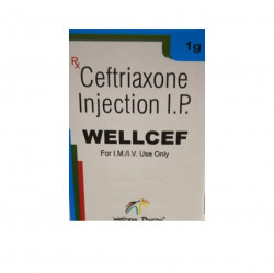 Wellcef 1000 Injection - Uses, Price, Side Effects, Substitute