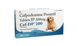 DP Cef 200mg Tablet - Uses, Price, Side Effects, Substitute